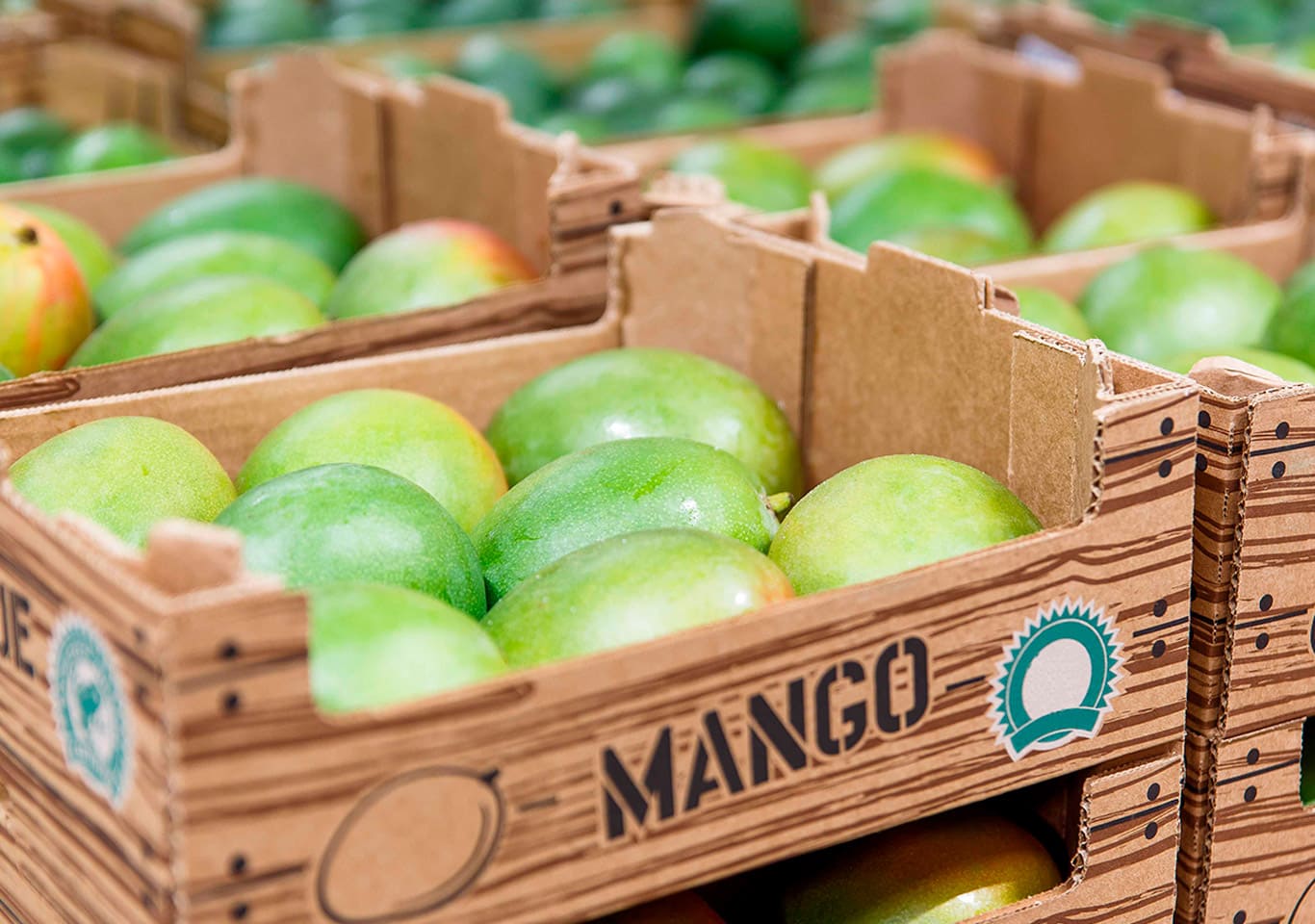 Productos agrícolas: el rol de los empaques de cartón