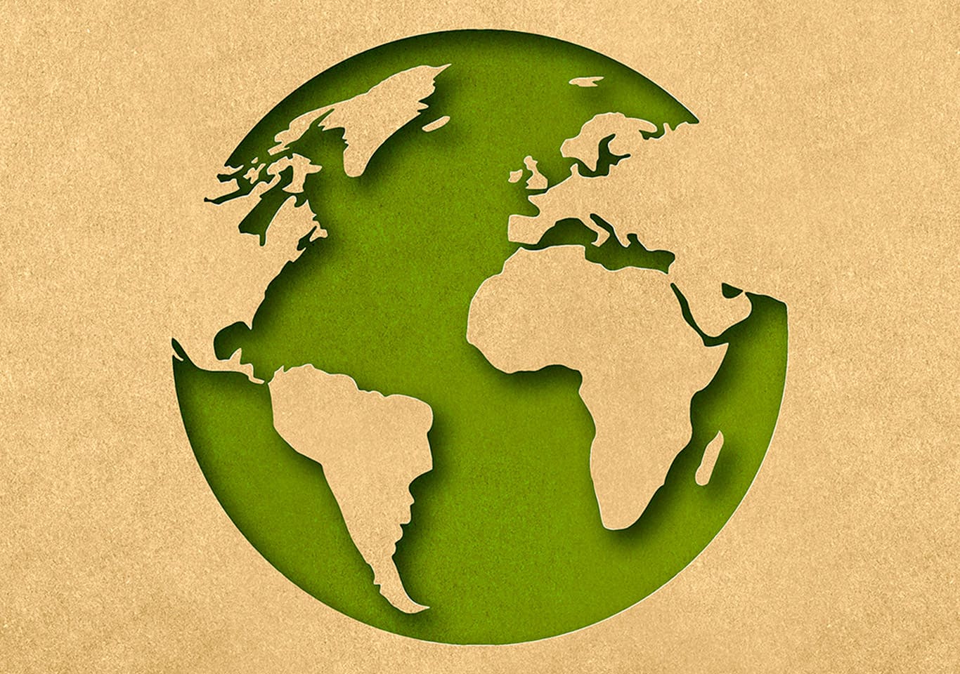 Biodegradable, todo lo que significa lo representa el cartón