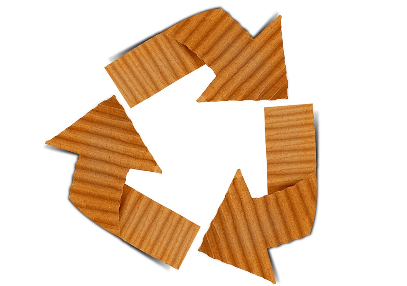 Reciclar Cartón Are You Recycling Correctly? A Practical Guide To